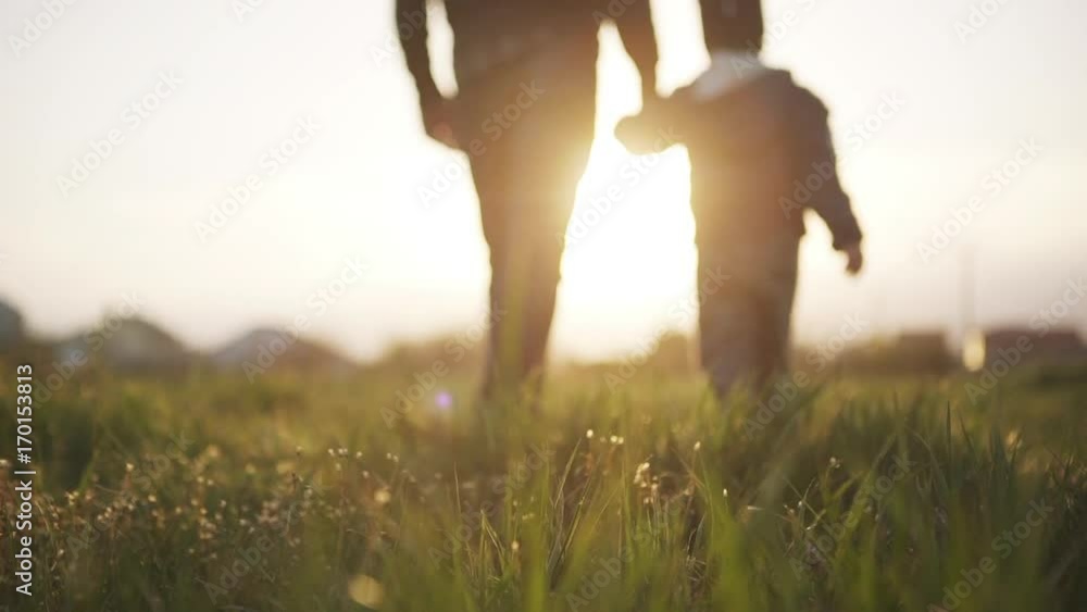 Young man and little boy walking on magnificent field backside holding ...