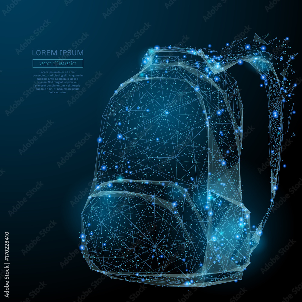 Backpack isolated from low poly wireframe on dark background. Vector ...