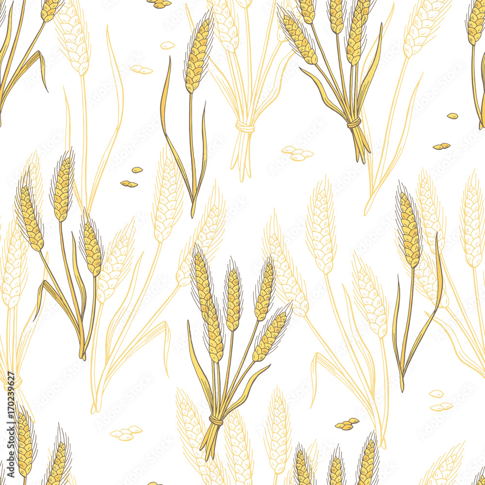 Wheat graphic color seamless pattern sketch illustration vector Stock ...