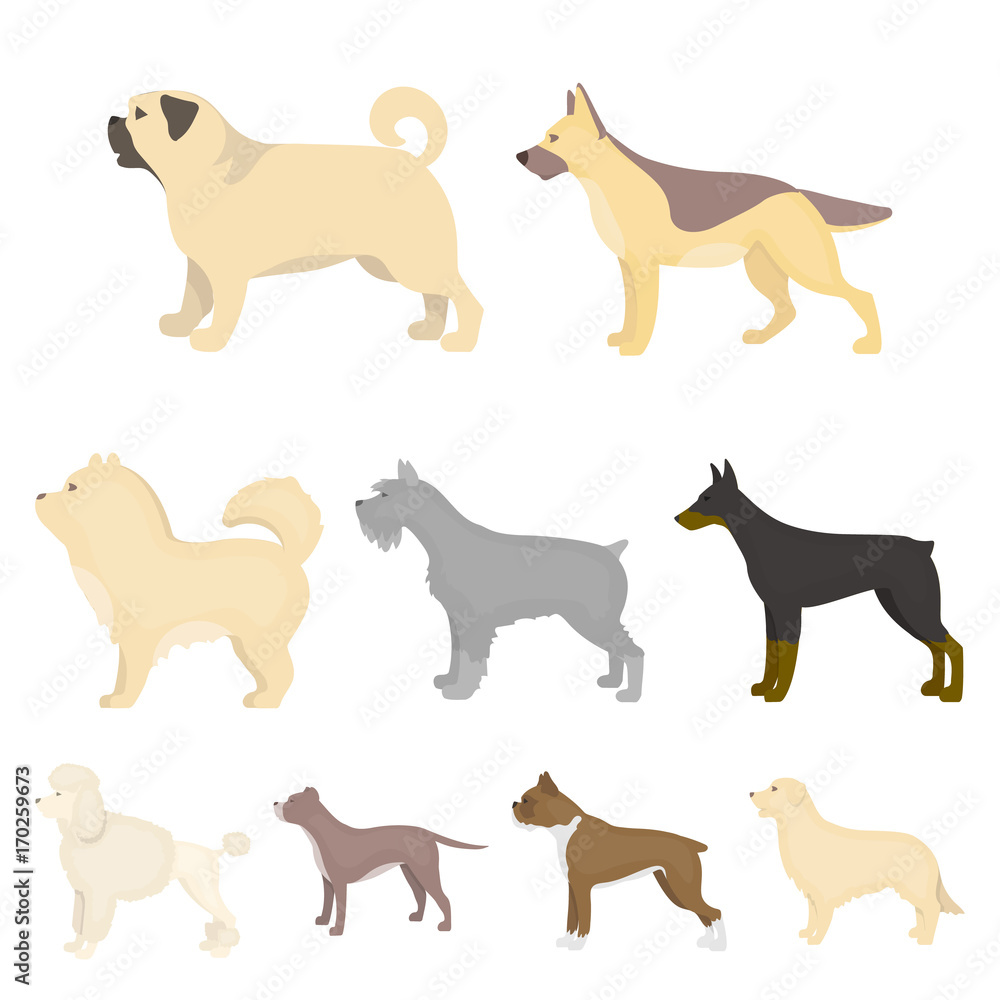 Dog breeds set icons in cartoon style. Big collection of dog breeds ...