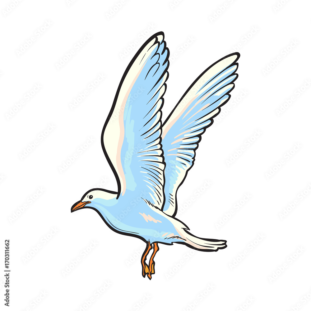Flying seagull, hand drawn, sketch style side view cartoon vector ...