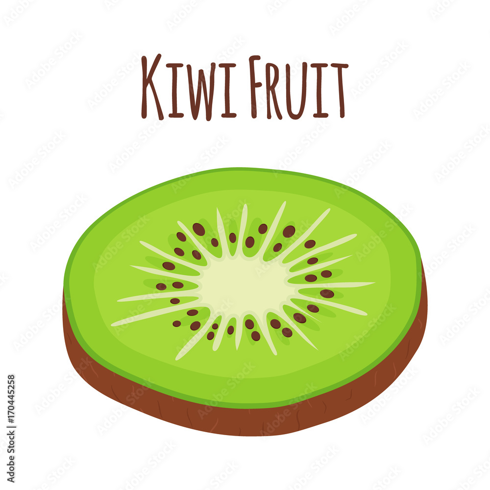 Kiwi Slice Vector