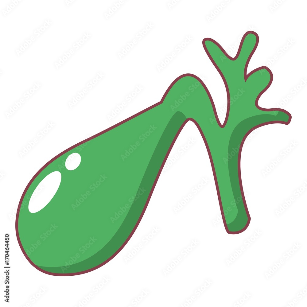 Gallbladder icon, cartoon style Stock Vector | Adobe Stock