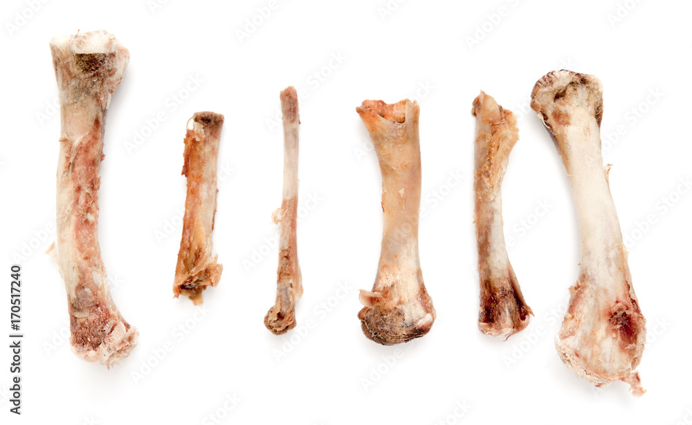 bone chicken on a white background Stock Photo | Adobe Stock