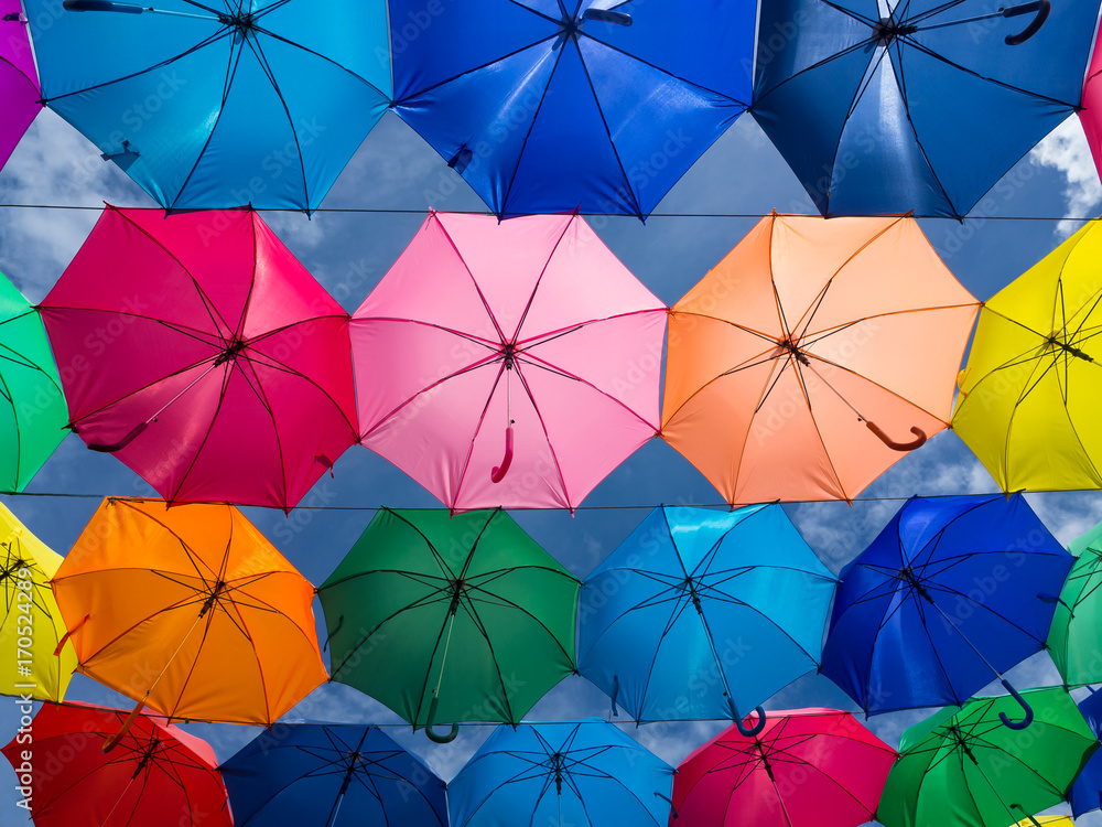 Colorful Real Umbrella