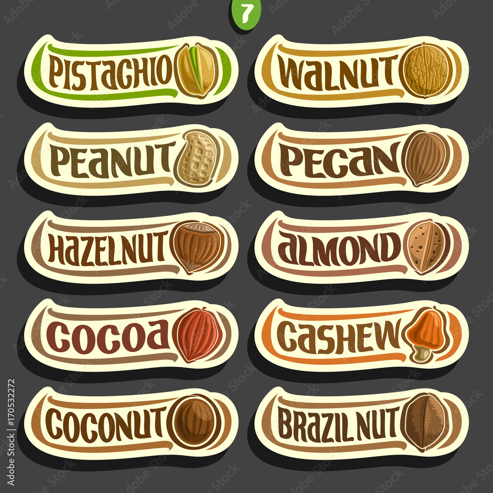 Vector Set of Nuts labels with text: 10 minimal signs of nuts fruit ...