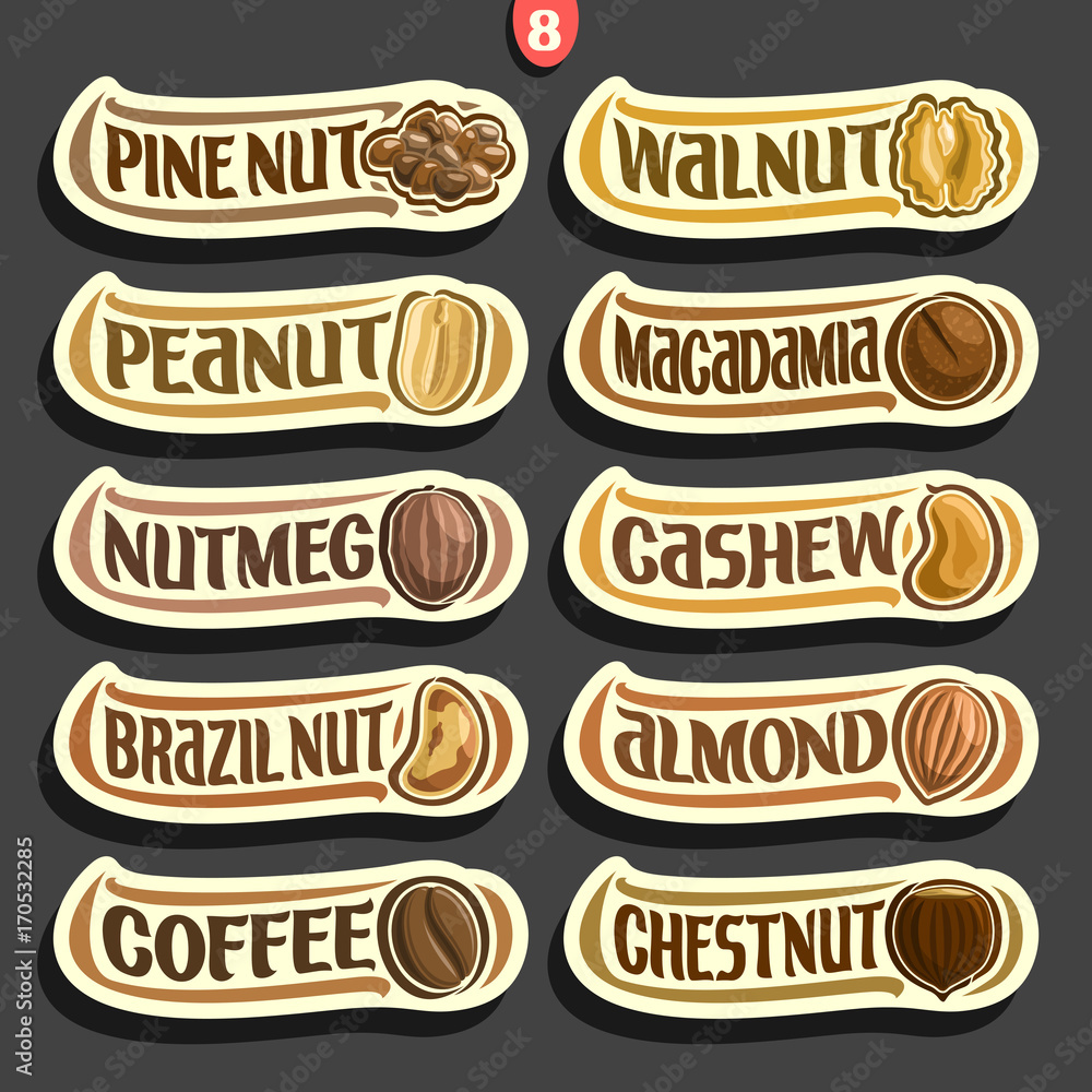 Vector Set of Nuts labels with text: 10 minimal signs of nuts fruit ...