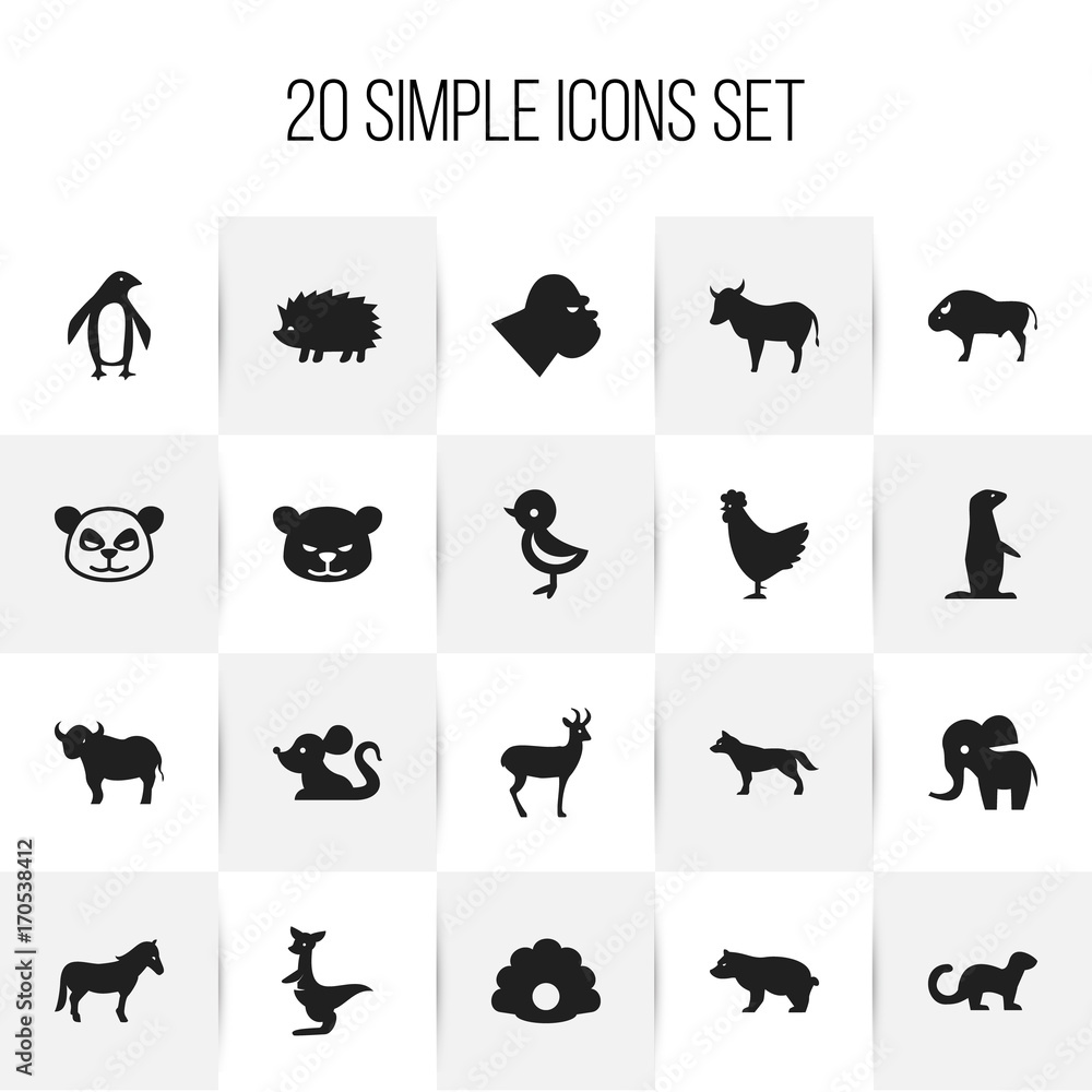 Animal Text Symbols