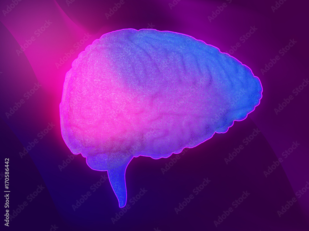 Neon brain concept. Cerebellum. Human brain 3D illustration Stock ...