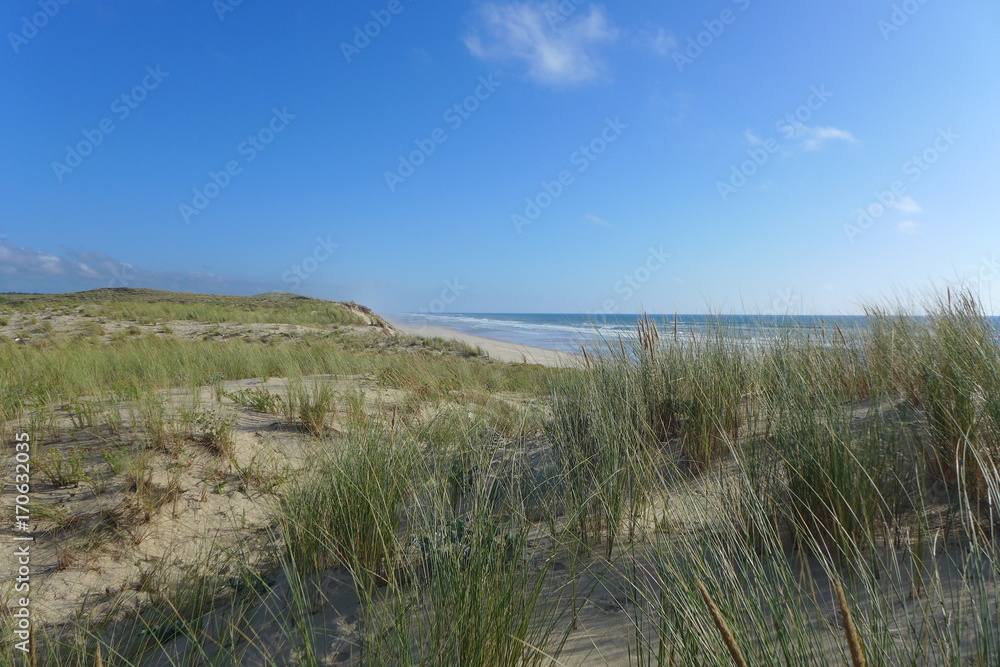 Dünen Atlantik bei Montalivet Stock Photo | Adobe Stock