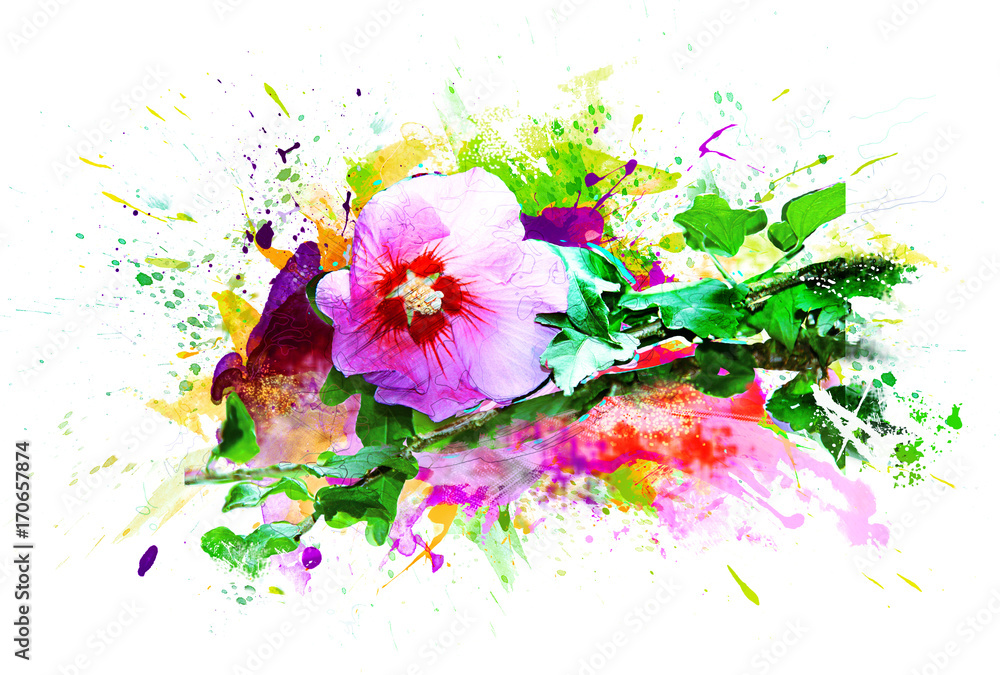 Hibiscus Flower, pink color - Watercolor, Splash, Splatter - Background ...
