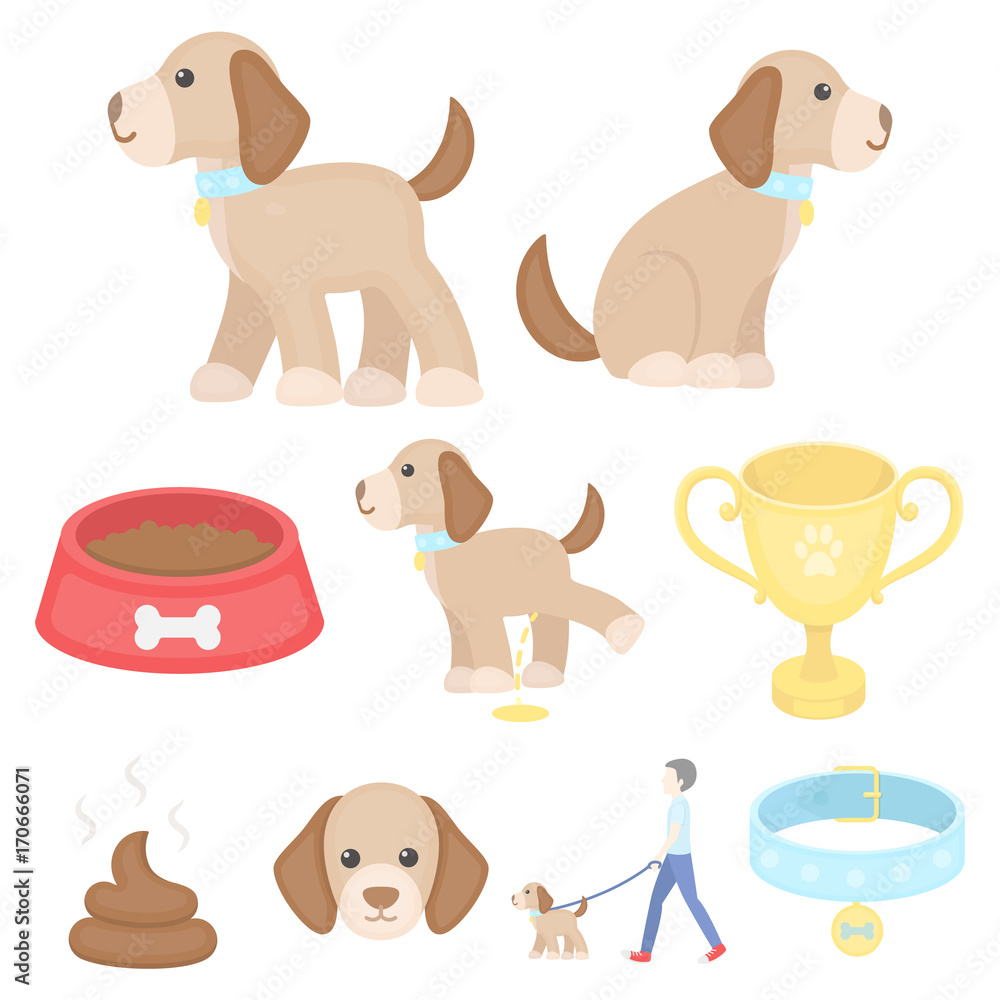 Dog equipment set icons in cartoon style. Big collection dog equipment ...