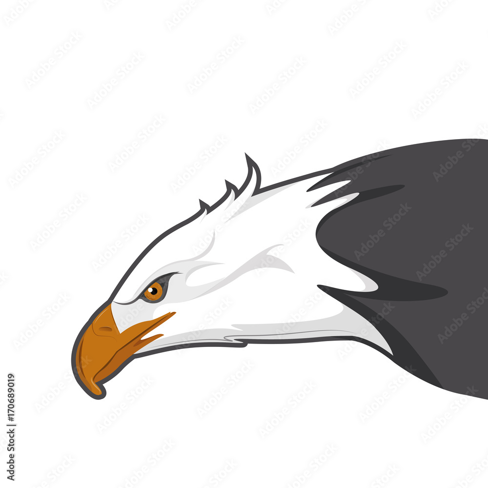 eagle illustrator Stock Vector | Adobe Stock