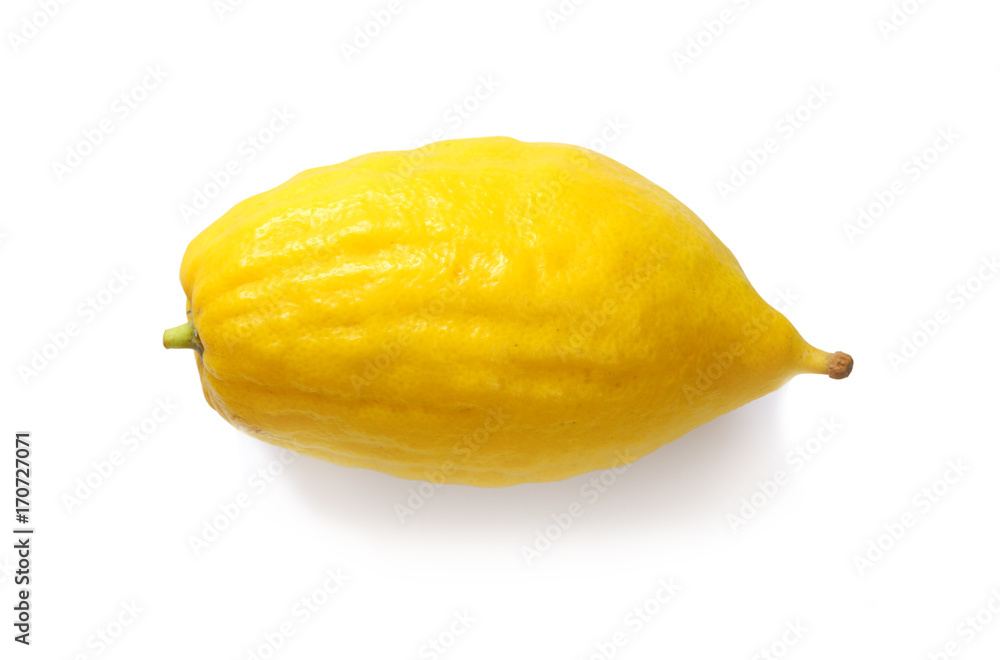 Jewish festival of Sukkot. Etrog (Lemon)Traditional symbol (One of The ...