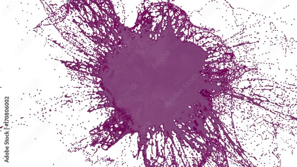 Large drops of purple paint fall on the white surface and it is stain ...