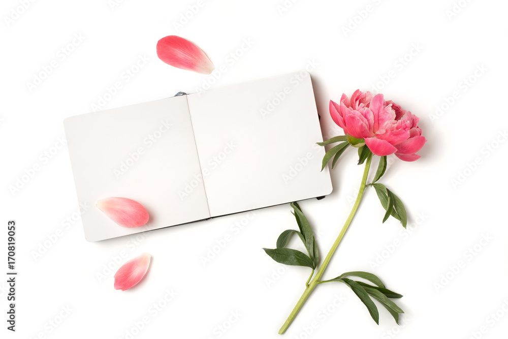 Empty open notebook mockup with pink peony flower and petals. Blank ...