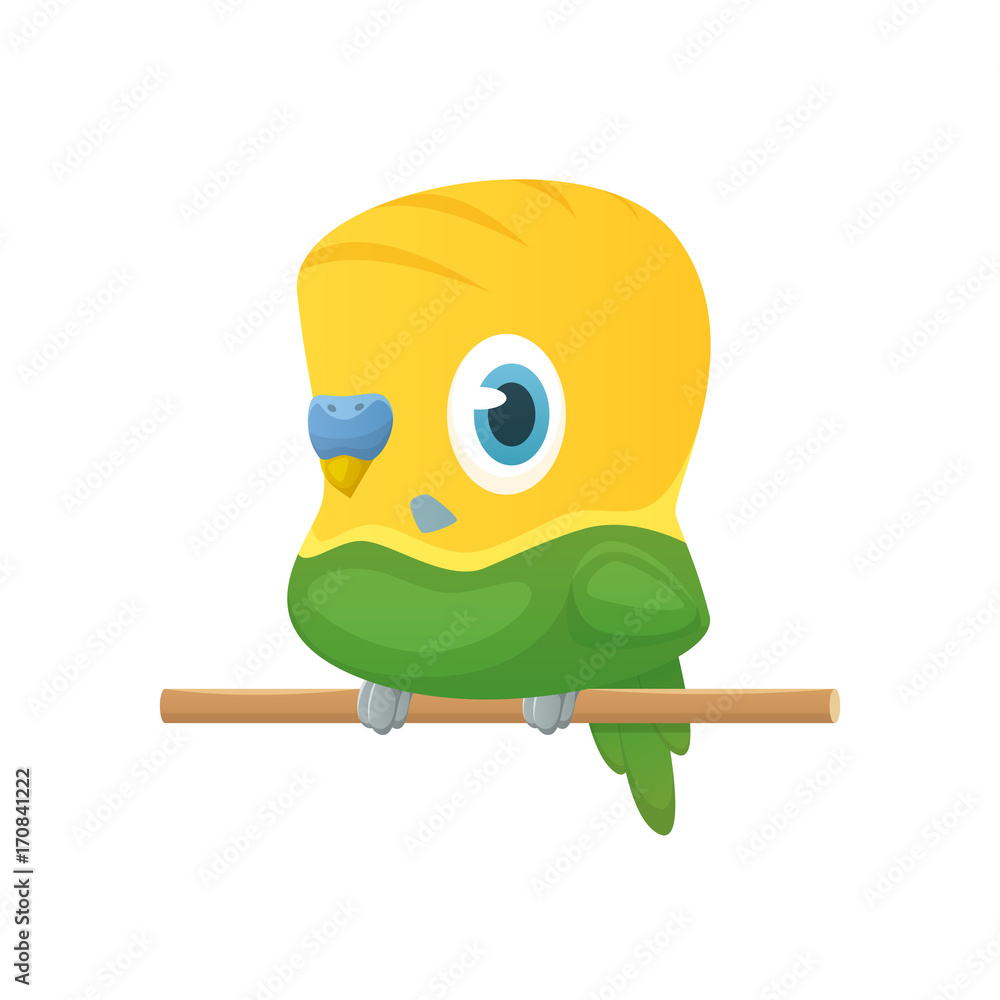 Cartoon budgie vector isolated Stock Vector | Adobe Stock