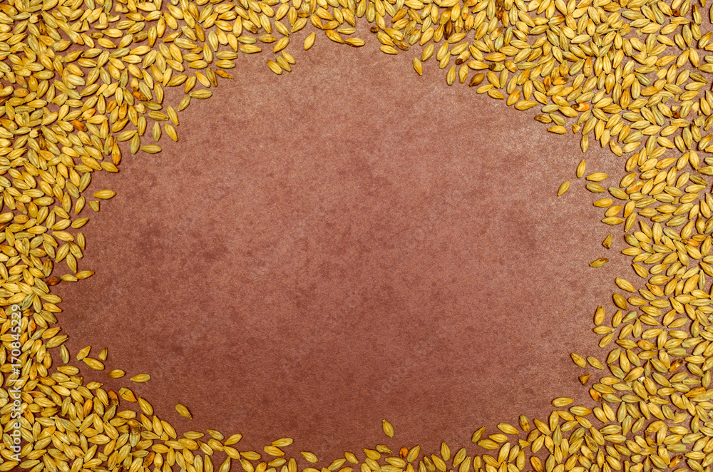 Textura de malte de cerveja com fundo vermelho natalino Stock Photo ...