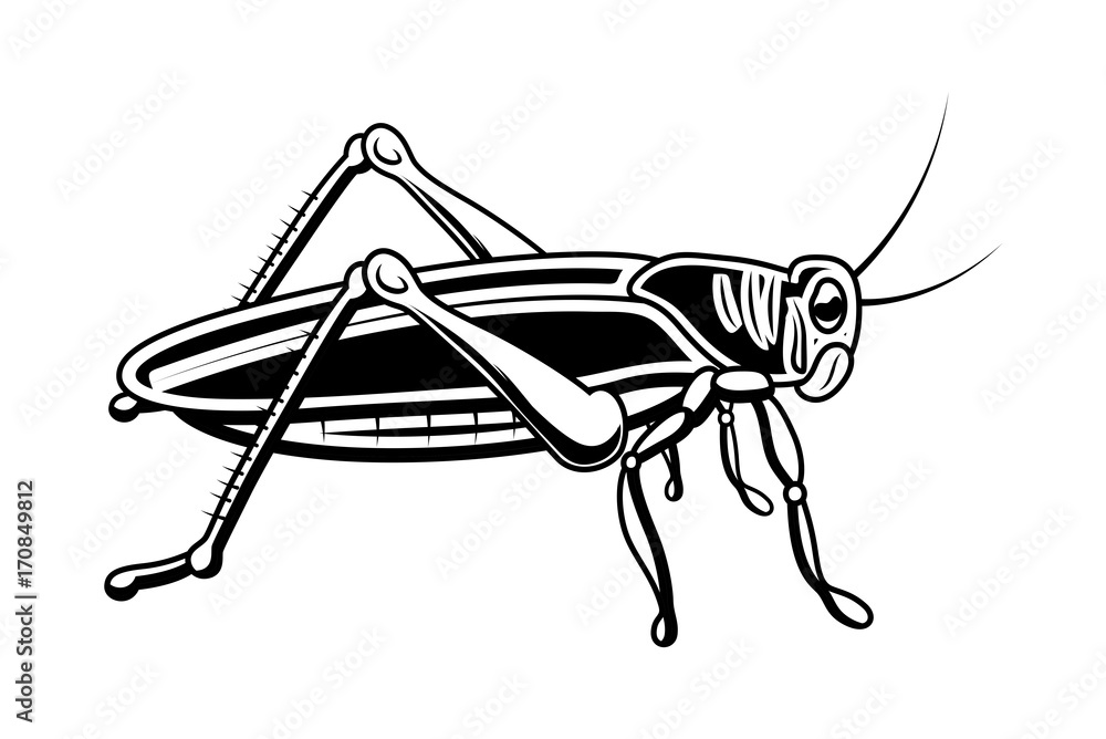 Grasshopper Insect Vector clip-art mascot Stock Vector | Adobe Stock
