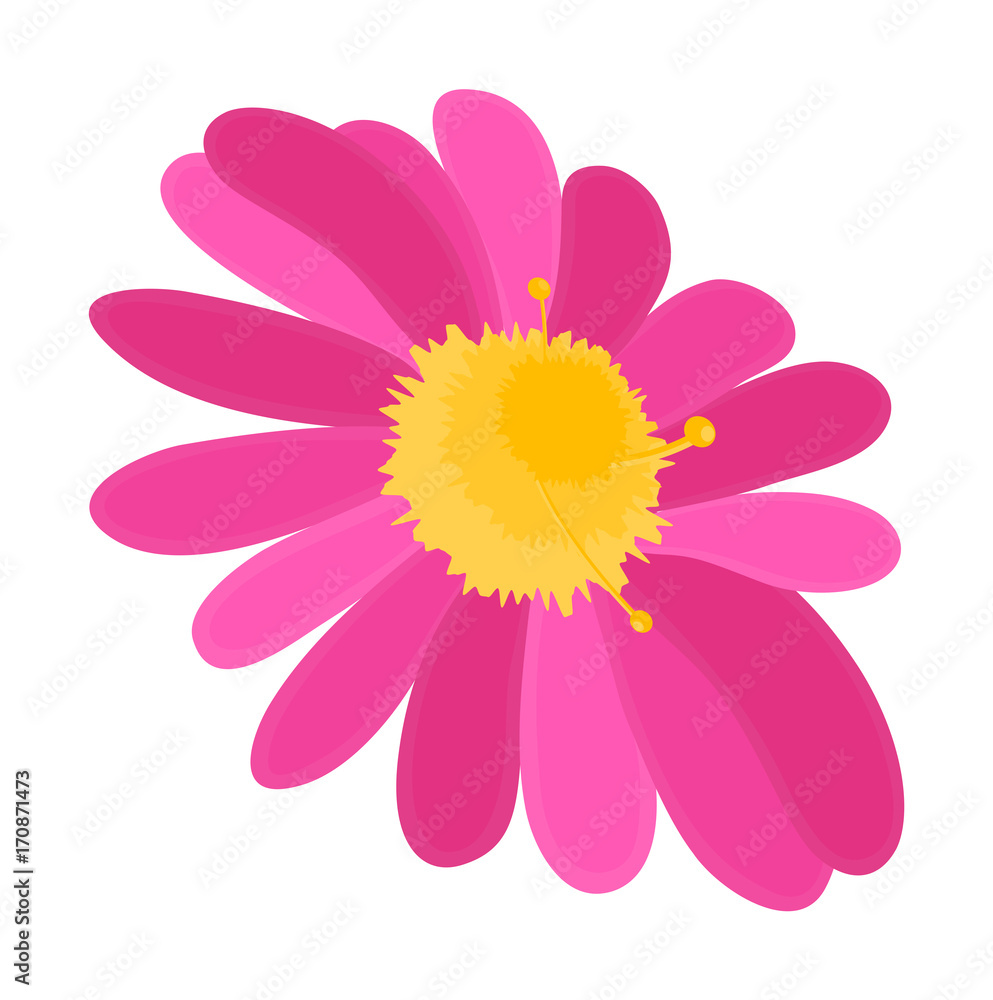 Pink Daisy Flower Clip Art