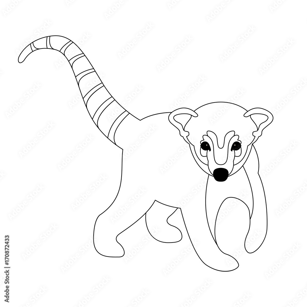 coati vector illustration front side line drawing Stock Vector | Adobe ...