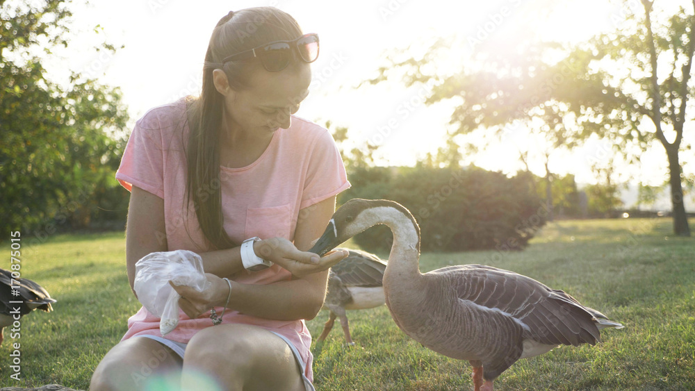 Woman feeding goose from palm Stock Photo | Adobe Stock