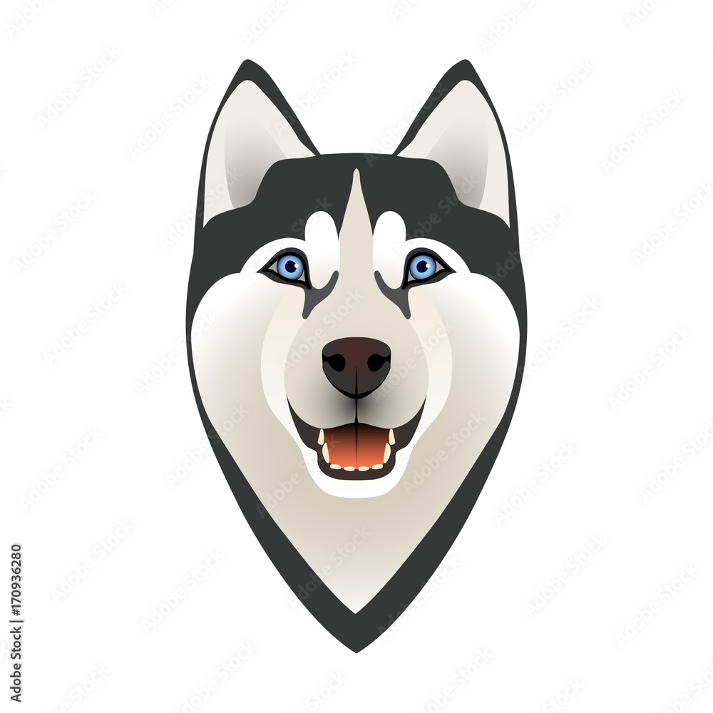 Husky Cartoon Face