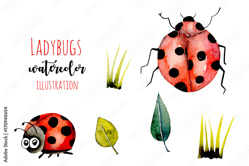 Set of watercolor cute cartoon ladybugs and simple plants illustrations ...