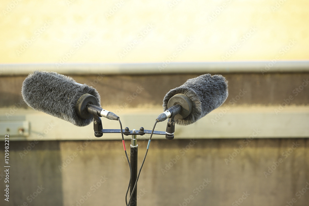 Double Professional sport microphone on a stadium Stock Photo | Adobe Stock