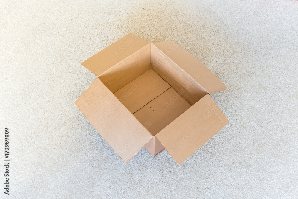 Empty Cardboard Box In Home