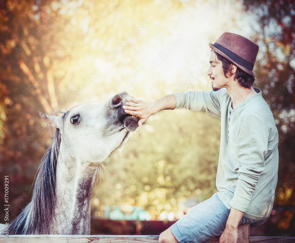 Nice communication between a young man and a horse , guy stretches his ...