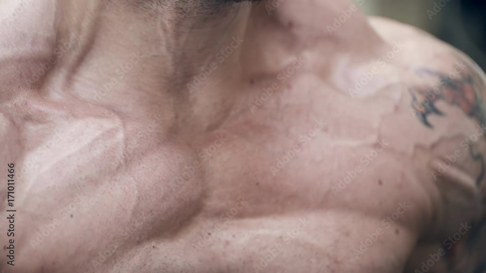 Close-up of chest of an unshaven bodybuilder with muscle tension. Male ...