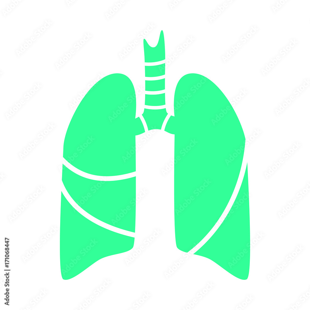 Vector silhouette medical illustration of human body organ - lungs with ...