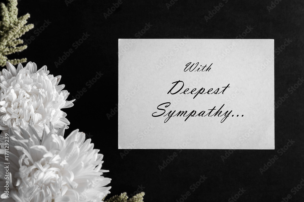 White blank condolence card with text and white aster flower on the ...