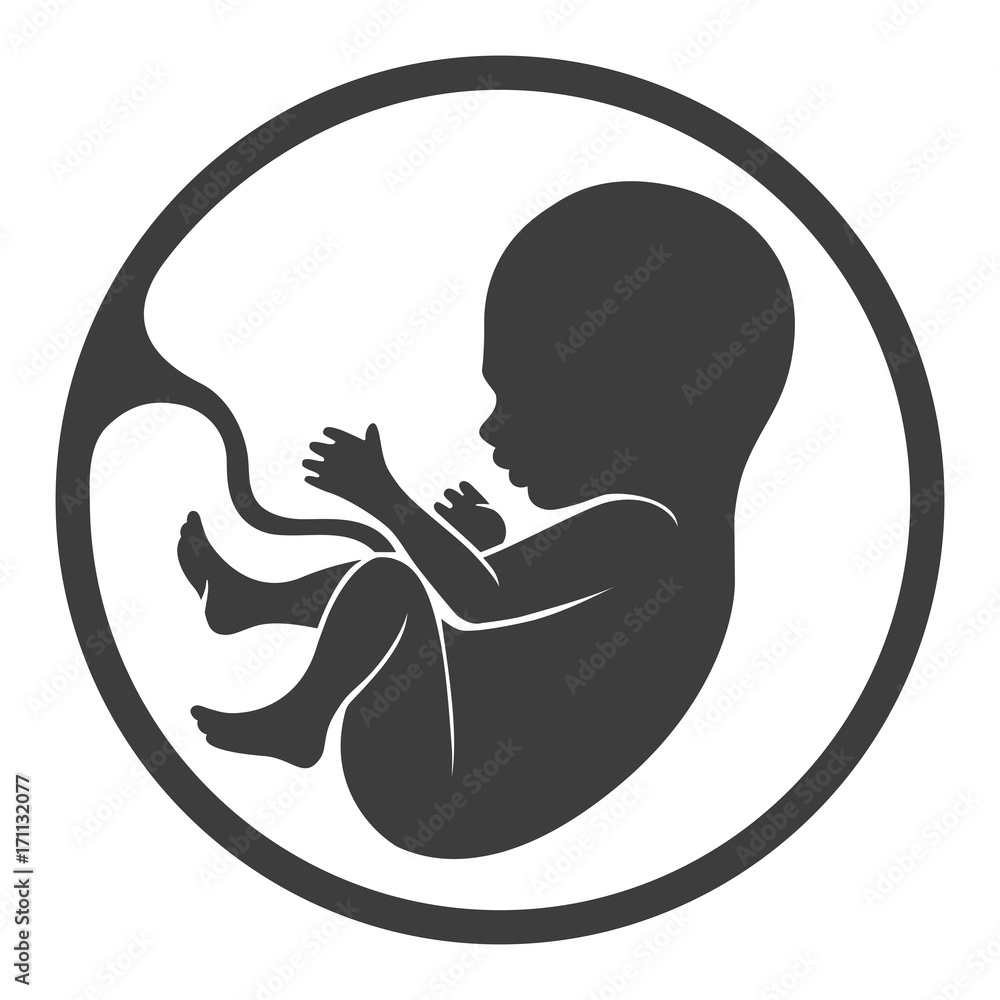 Fetus vector icon, prenatal human child with placenta silhouette ...