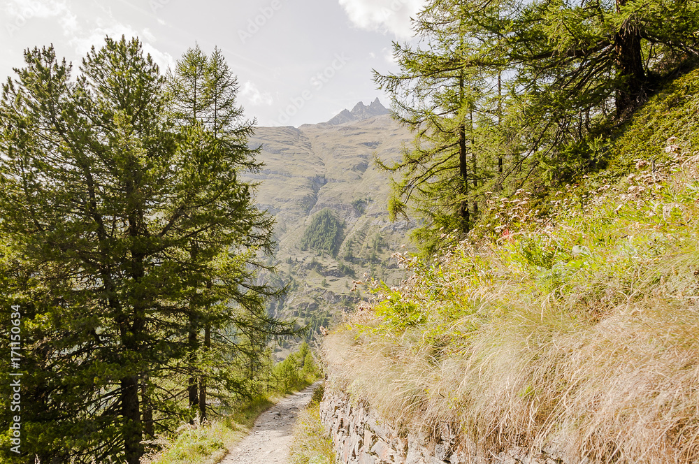 Zermatt, Findeln, Findelbach, Wanderweg, Wanderferien, Wellenkuppe ...