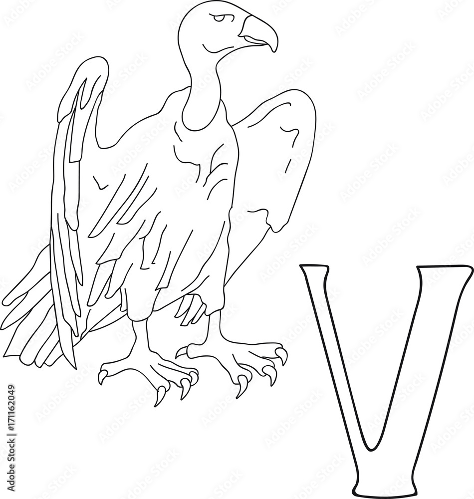 Vector hand drawn illustration capital letter V on alphabet card. Black ...