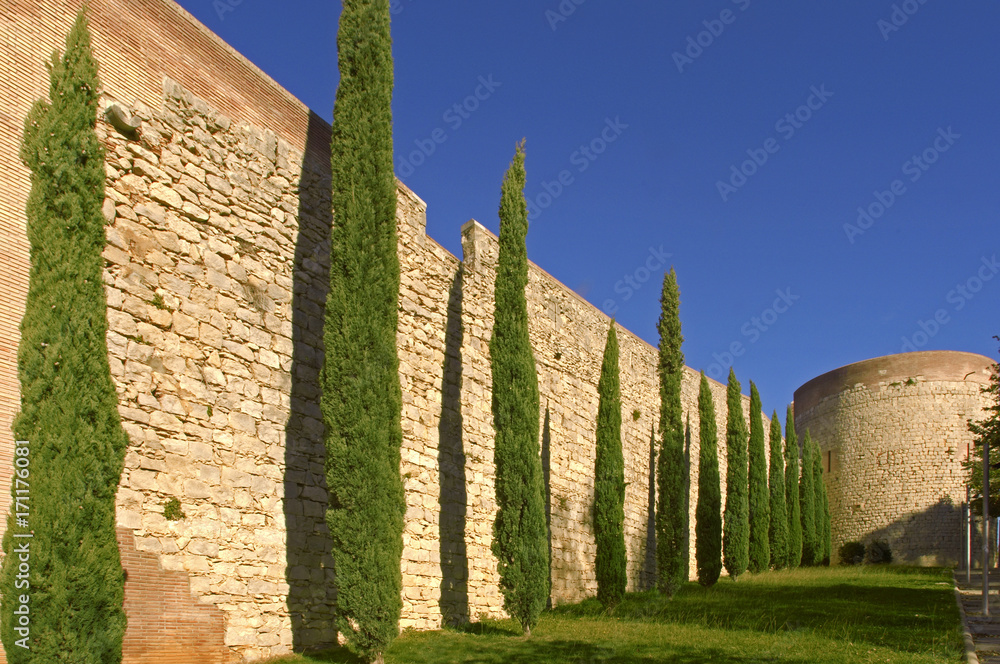 Girona Ciudad vistas de la ciudad y la catedral desde la muralla ...