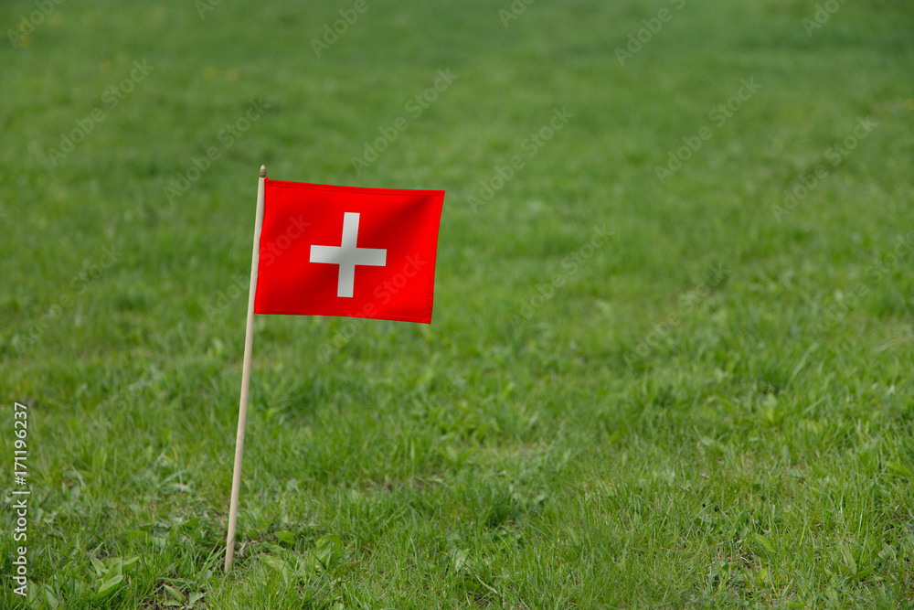 Switzerland flag. Swiss flag on a green grass lawn field background ...