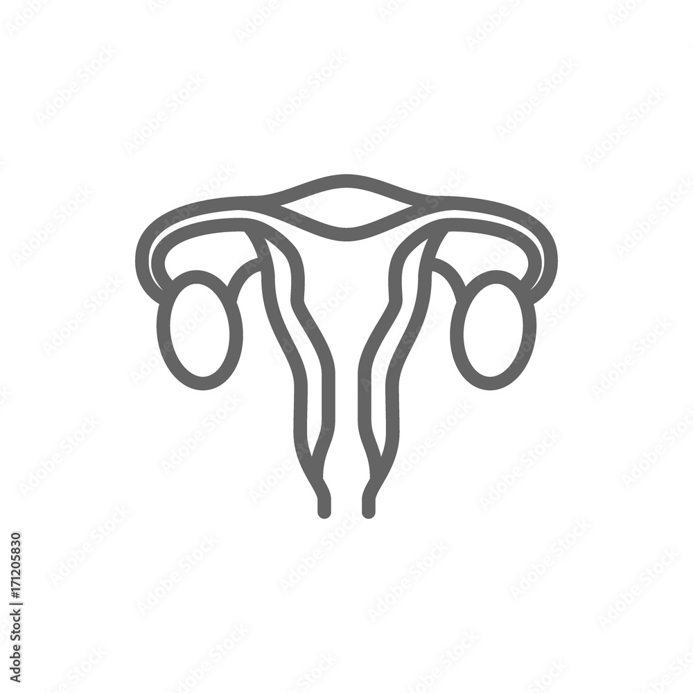 Vettoriale Stock Simple Female Reproductive System Uterus With