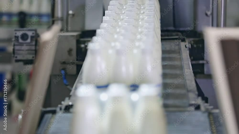Packaging milk bottles on conveyor line. Packaging line at dairy ...