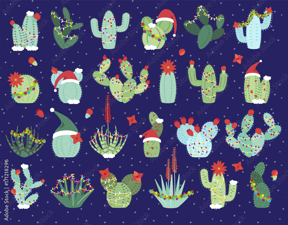 Christmas or Holiday Themed Cactus and Succulent Collection Stock ...