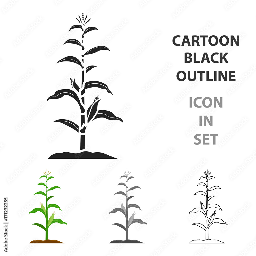 Corn Plant Icon