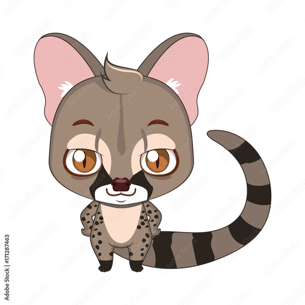 Cute stylized cartoon genet illustration ( for fun educational purposes ...