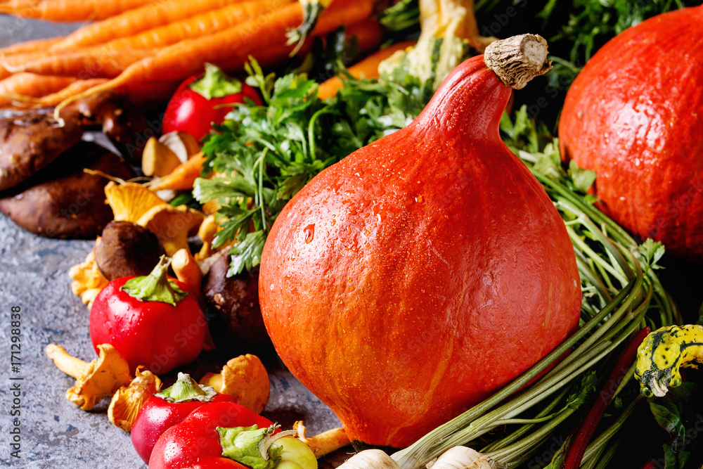 Variety of autumn harvest vegetables carrot, parsnip, chard, paprika ...