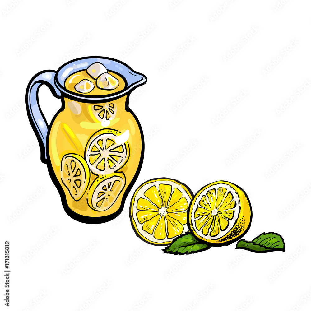 vector sketch cartoon lemonade glass jug, pitcher with handle, sliced ...