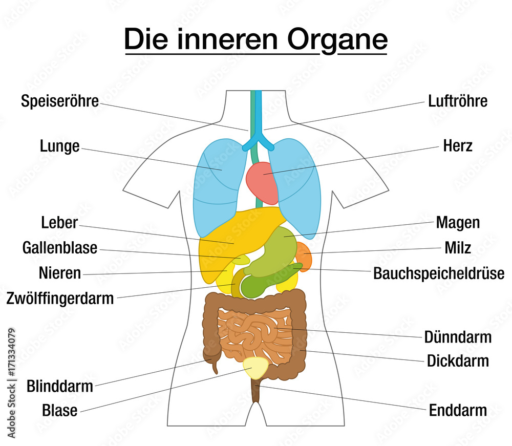 German Language Chart