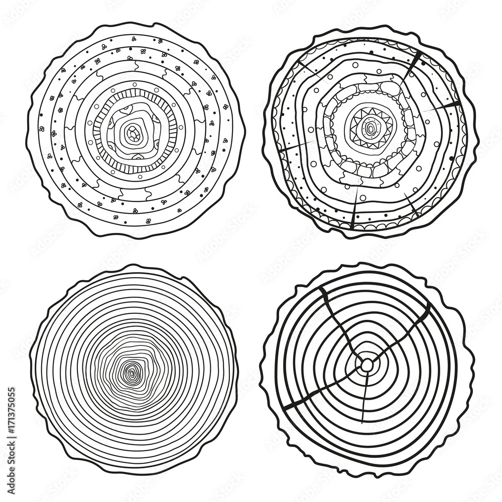 Tree rings. Set of cross section of the tree.Set of tree rings on ...