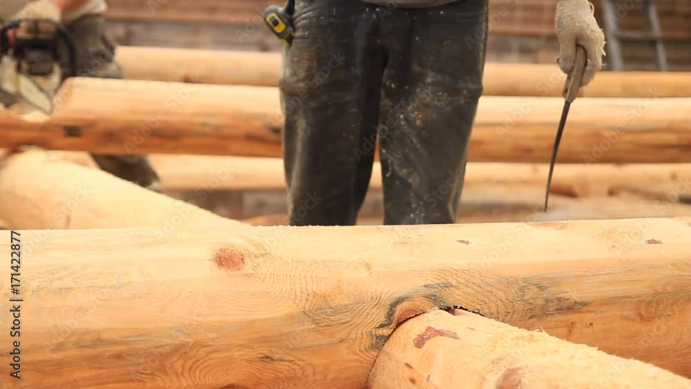 Strong lumberjack chopping wood Stock Video | Adobe Stock