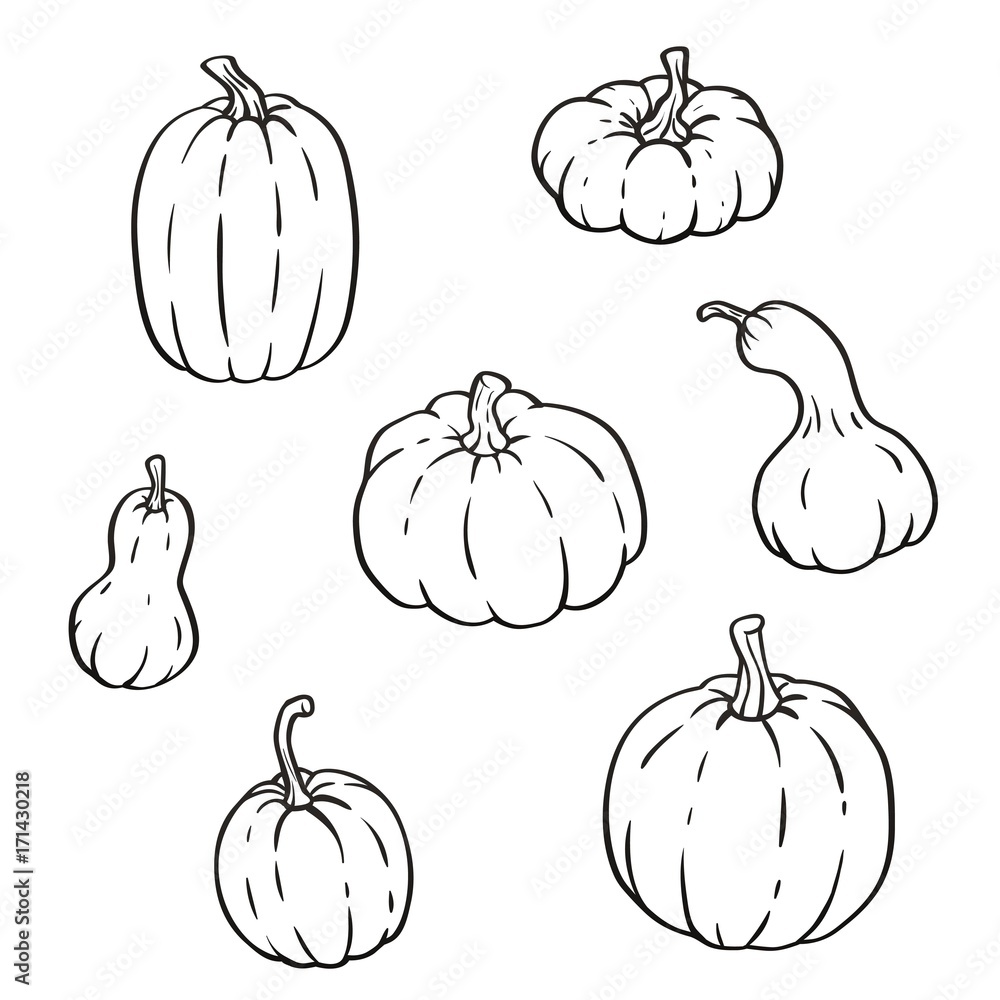 Pumpkin Shape Outline